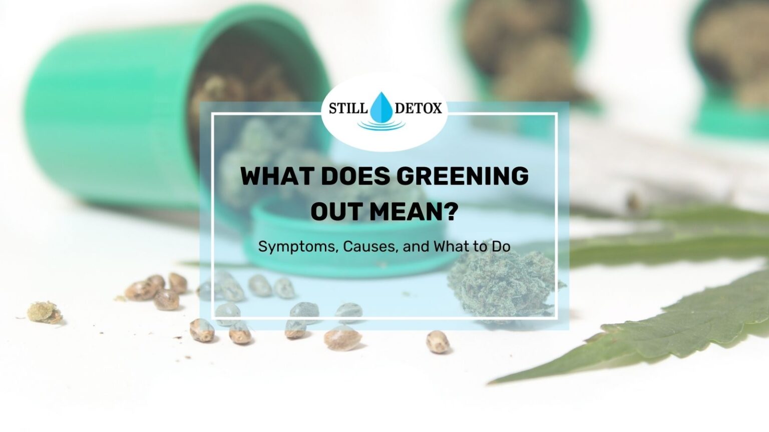 What Does Greening Out Mean? Symptoms, Causes, and What to Do - Still Detox